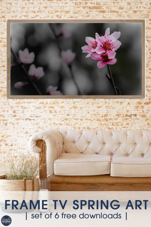 Spring Frame TV Art | Download Your Set of 6 Free Digital Prints